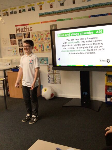 A Sting in the Tail for Pine Class! - Latest News - Harry Watts Academy